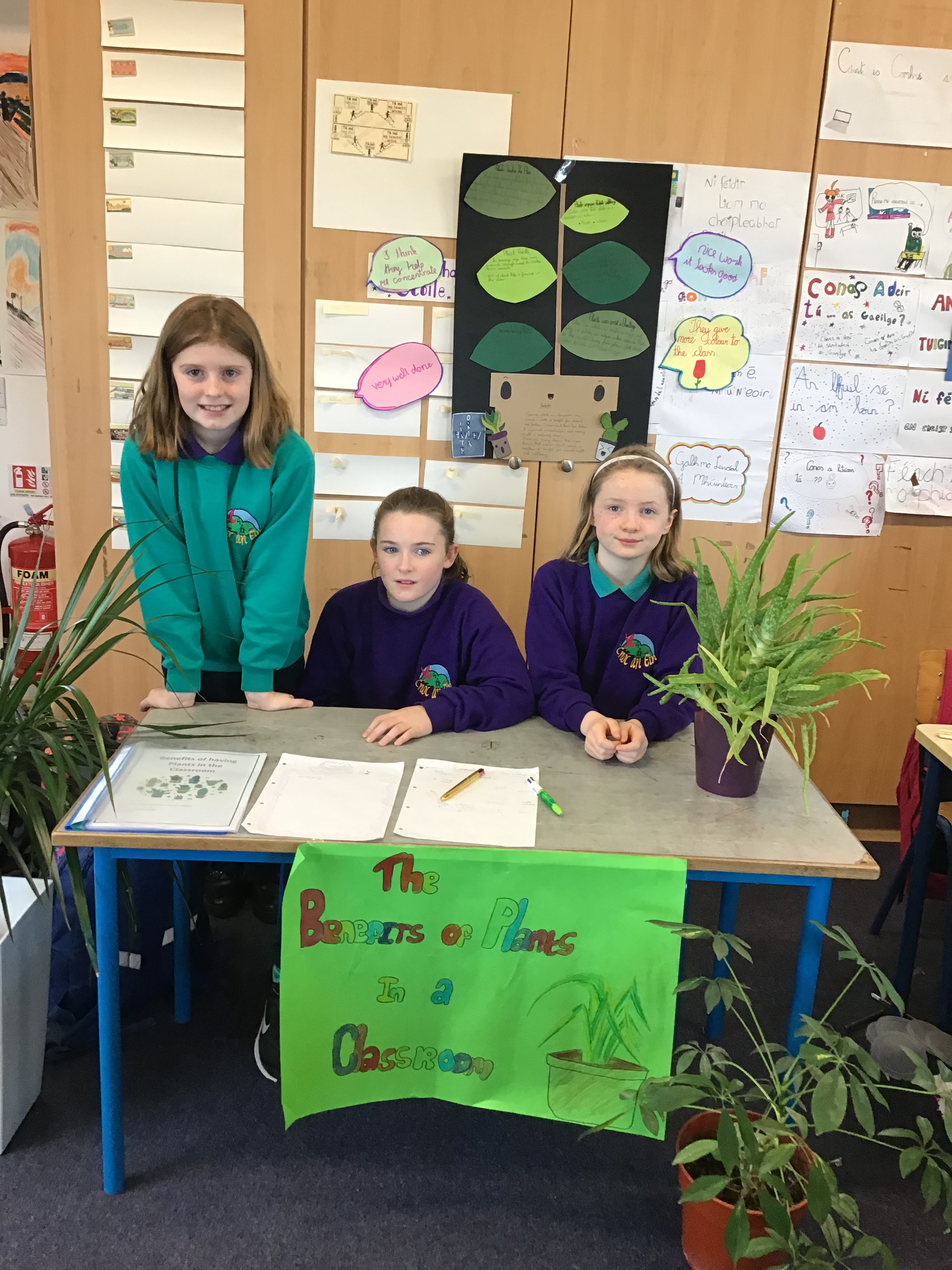 Intel Mini Scientist 2019/2020 | Knockanean National School