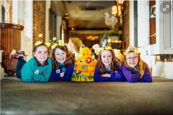 Intel Mini Scientist 2019/2020 | Knockanean National School